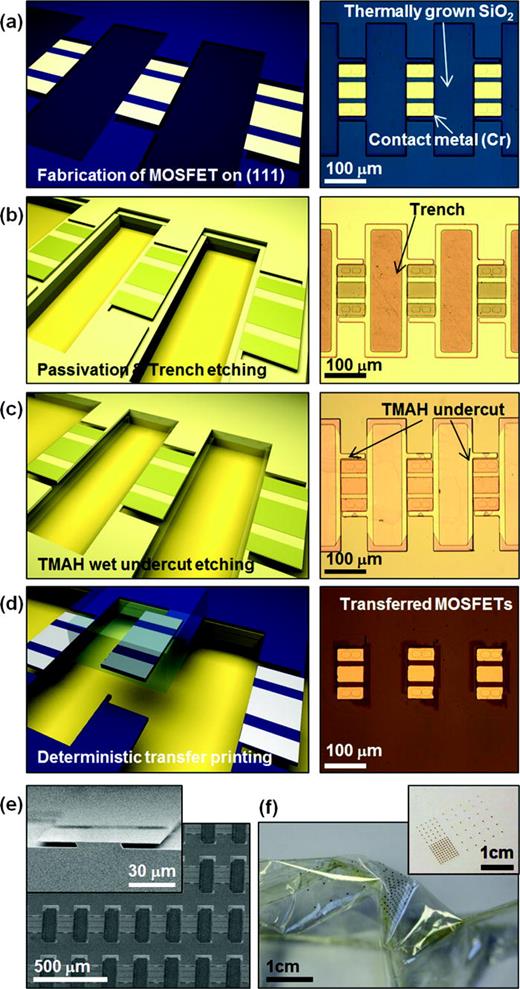 Deterministic Assembly Of Releasable Single Crystal Silicon Metal Oxide Field Effect Devices
