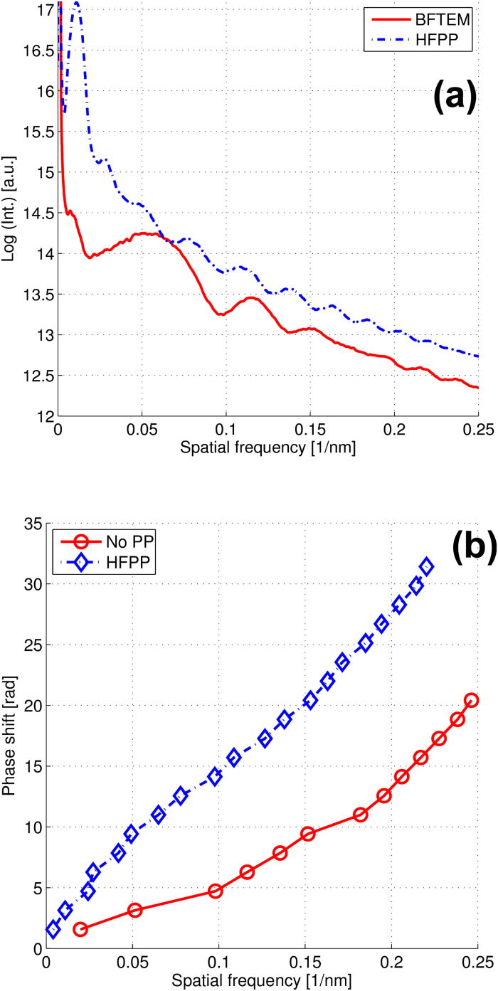 Magnetic imaging with a Zernike-type phase plate in a transmission ...