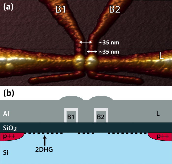 Single-hole tunneling through a two-dimensional hole gas in intrinsic ...