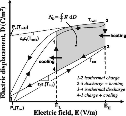 Phase transitions and thermal expansion in pyroelectric energy ...