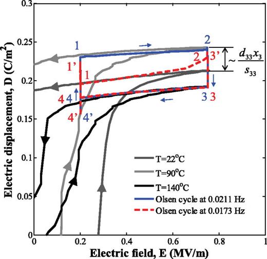 Phase transitions and thermal expansion in pyroelectric energy ...