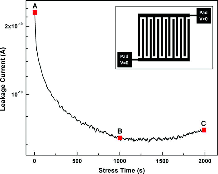 Evidence of ultra-low-k dielectric material degradation and ...