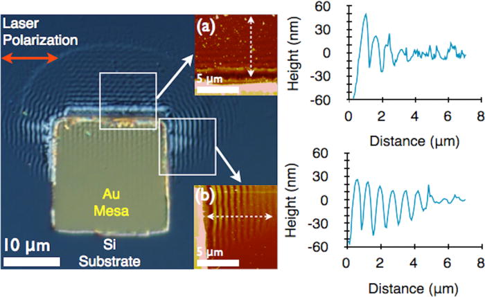 Laser-induced periodic surface structure formation resulting from ...