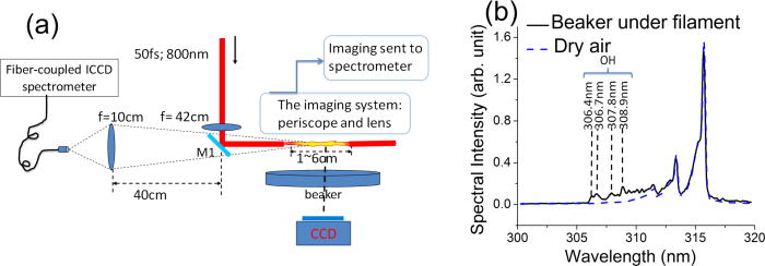 Lasing action in water vapor induced by ultrashort laser filamentation ...
