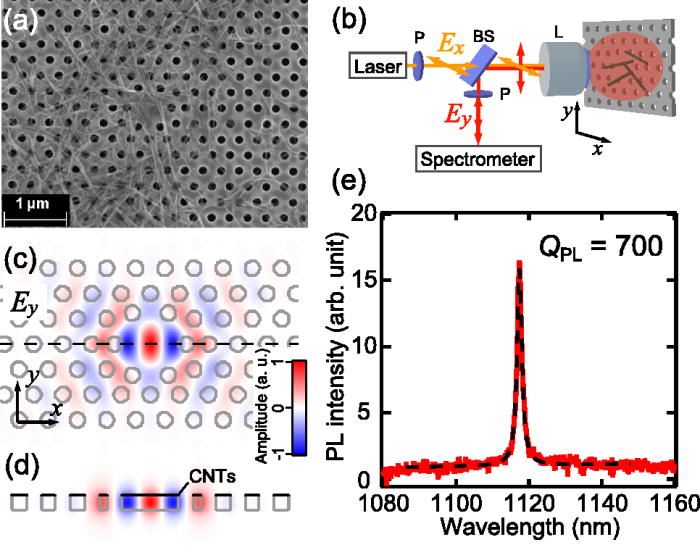 Cavity-enhanced Raman scattering of single-walled carbon nanotubes ...