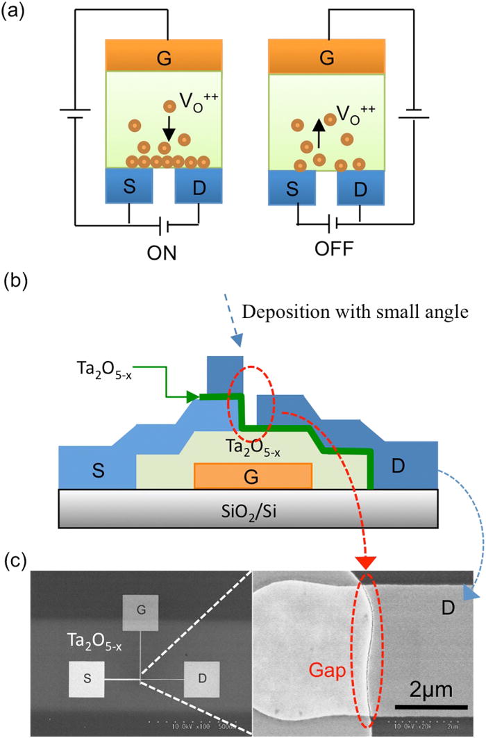 Nonvolatile three-terminal operation based on oxygen vacancy drift in a ...