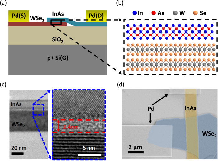 Near-ideal electrical properties of InAs/WSe2 van der Waals ...