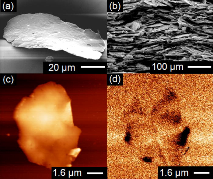 Evidence of an embedded vortex translation mode in flake-shaped ...