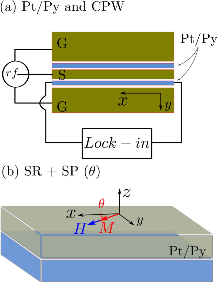 Distinguishing Spin Pumping From Spin Rectification In A Pt Py Bilayer Through Angle Dependent