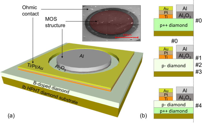 Metal oxide semiconductor structure using oxygen-terminated diamond ...