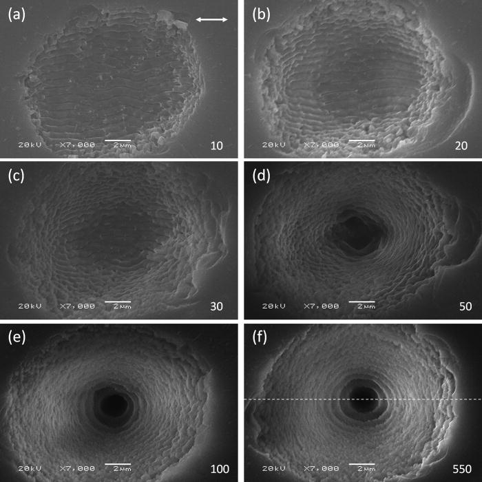 Laser-induced periodic annular surface structures on fused silica ...