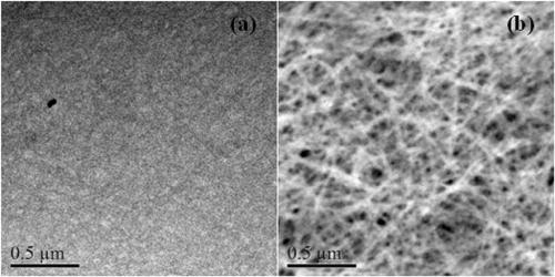 Plasmon-loss imaging of polymer-methanofullerene bulk heterojunction ...