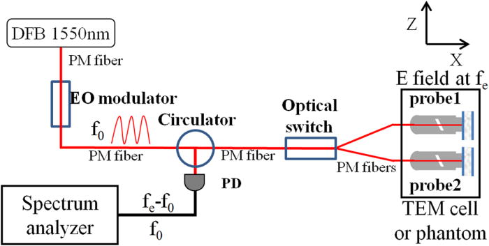 Electro-optic sensor for specific absorption rate measurements ...
