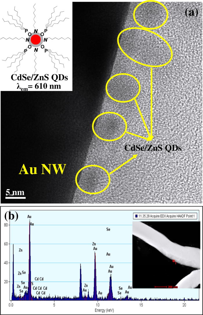 Surface enhanced Raman scattering effect of CdSe/ZnS quantum dots ...