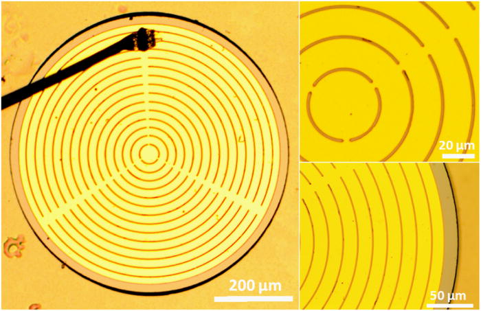 Single-mode surface-emitting concentric-circular-grating terahertz ...