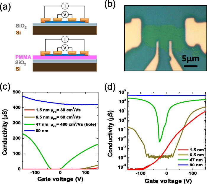 High mobility ambipolar MoS2 field-effect transistors: Substrate and ...