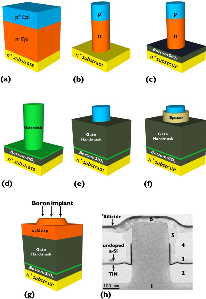 Diameter-dependent boron diffusion in silicon nanowire-based ...