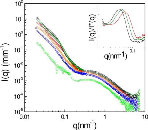 Nanoscale structure of protamine/DNA complexes for gene delivery ...