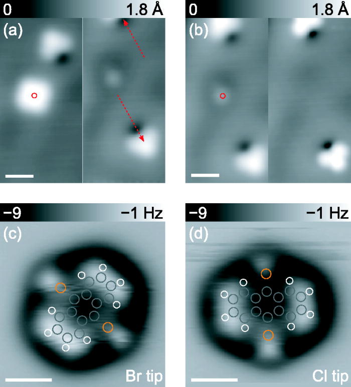 Different tips for high-resolution atomic force microscopy and scanning ...