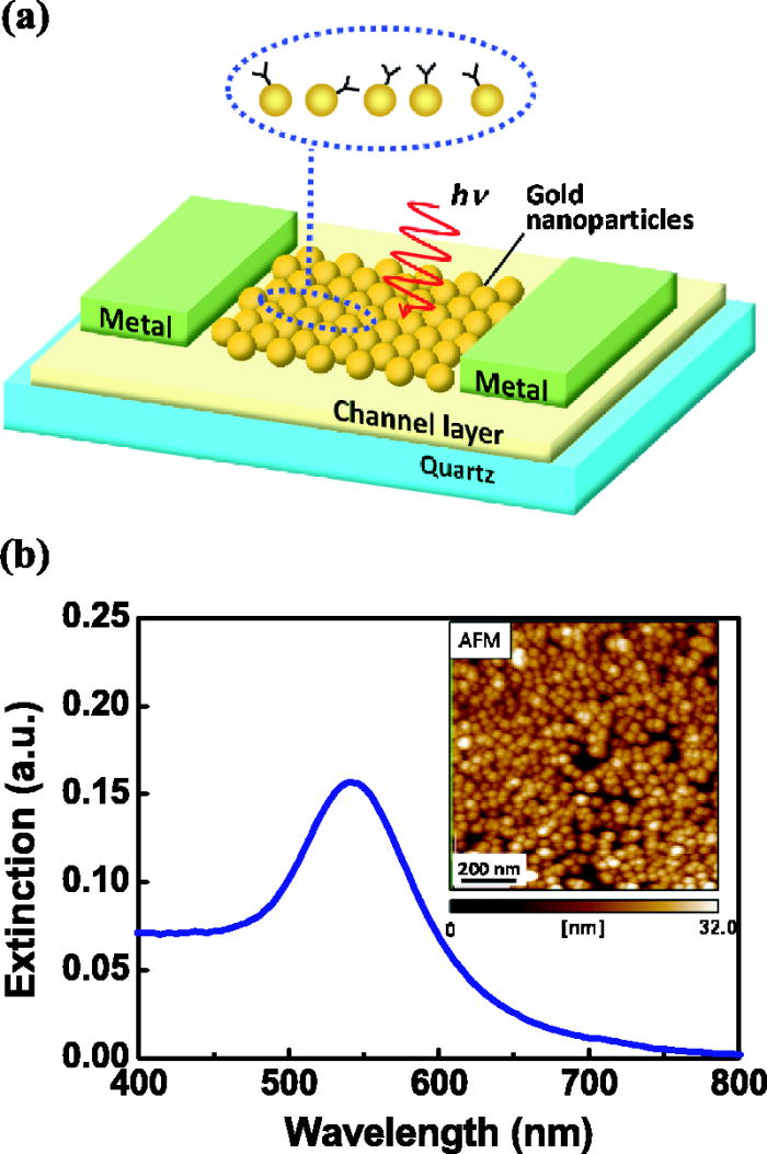 Electrical detection of surface plasmon resonance phenomena by a ...