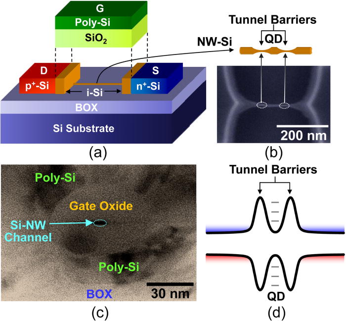 Gate-tunable selective operation of single electron/hole transistor ...
