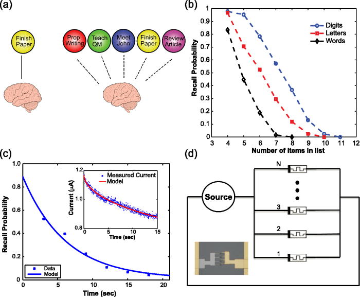 Interference and memory capacity effects in memristive systems ...