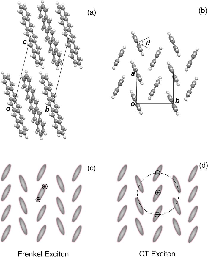 Observation of Frenkel and charge transfer excitons in pentacene single ...