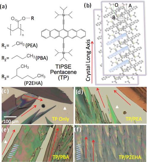 Switching phase separation mode by varying the hydrophobicity of ...