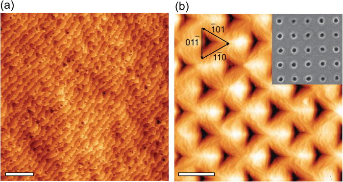 Self-organized metallic islands on nano-patterned silicon substrate ...