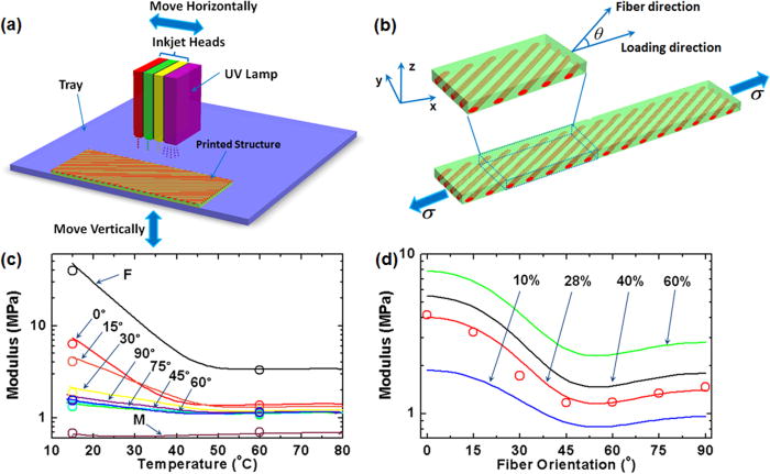 Active materials by four-dimension printing | Applied Physics Letters ...