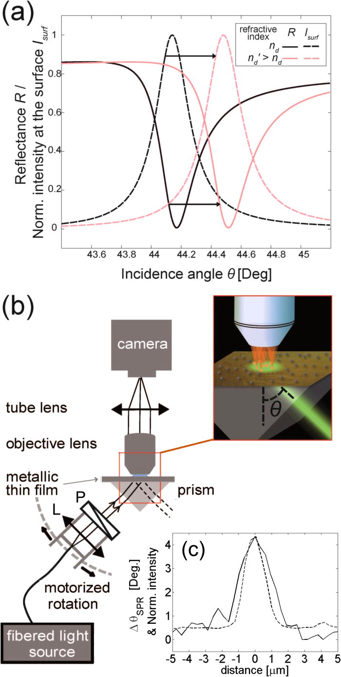 Transmission surface plasmon resonance microscopy | Applied Physics ...