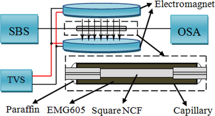 Fiber-optic in-line magnetic field sensor based on the magnetic fluid ...