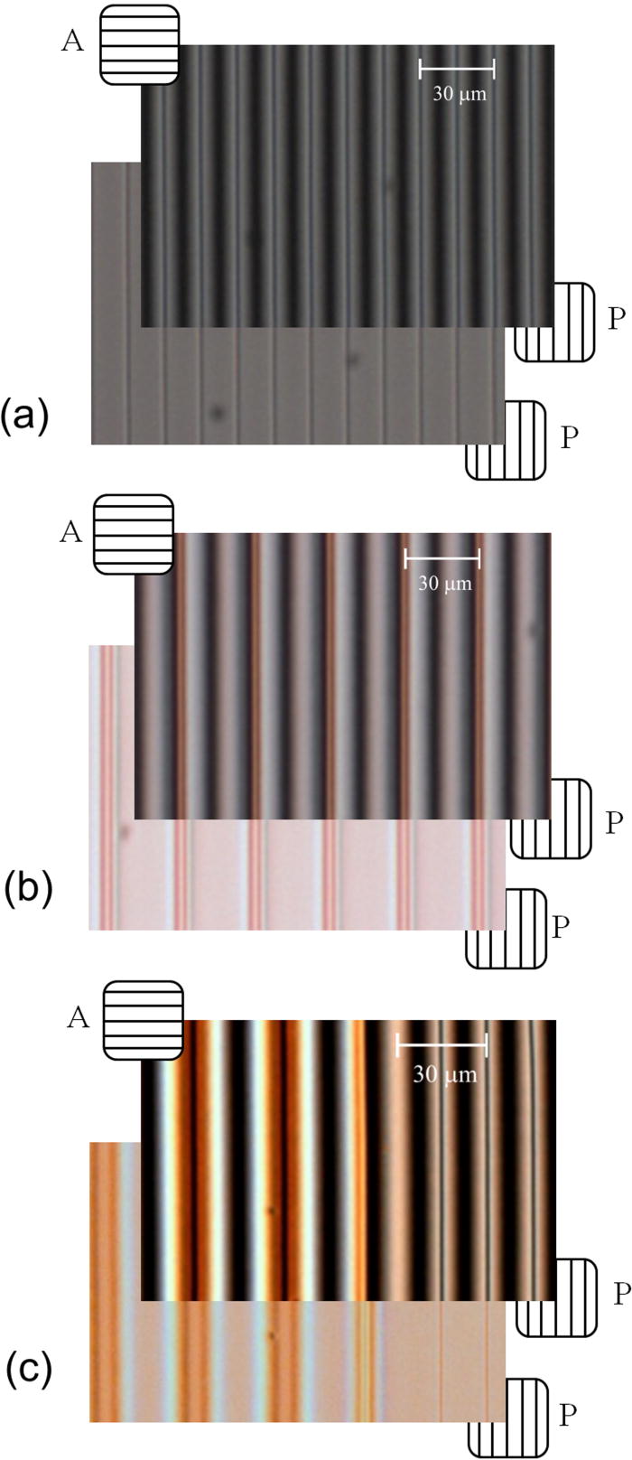Periodic defects lines in liquid crystal cell guided by polarization ...