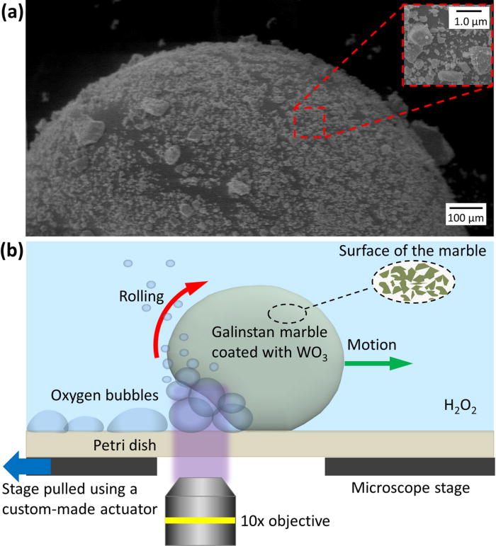 Photochemically induced motion of liquid metal marbles | Applied ...