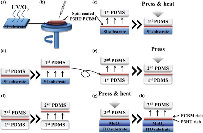 Polymer photovoltaic cells with a graded active region achieved using ...
