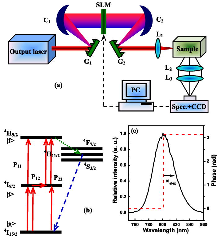 Coherent Phase Control Of Resonance Mediated Two Photon Absorption In