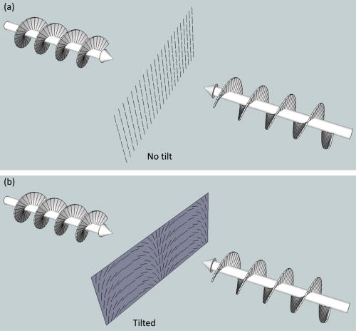 Recording polarization gratings with a standing spiral wave | Applied ...
