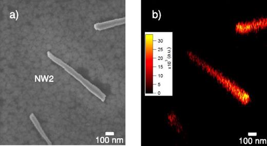 Optical properties of single ZnTe nanowires grown at low temperature ...