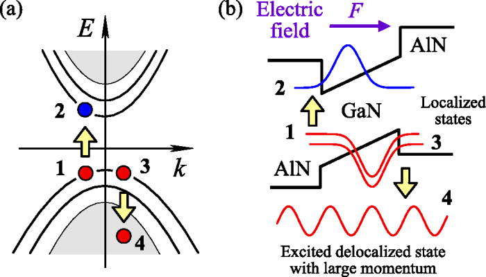 The role of polarization fields in Auger-induced efficiency droop in nitride-based light ...
