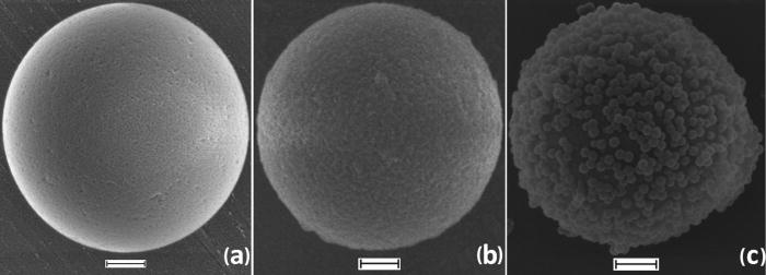 Radiation pressure efficiency measurements of nanoparticle coated ...