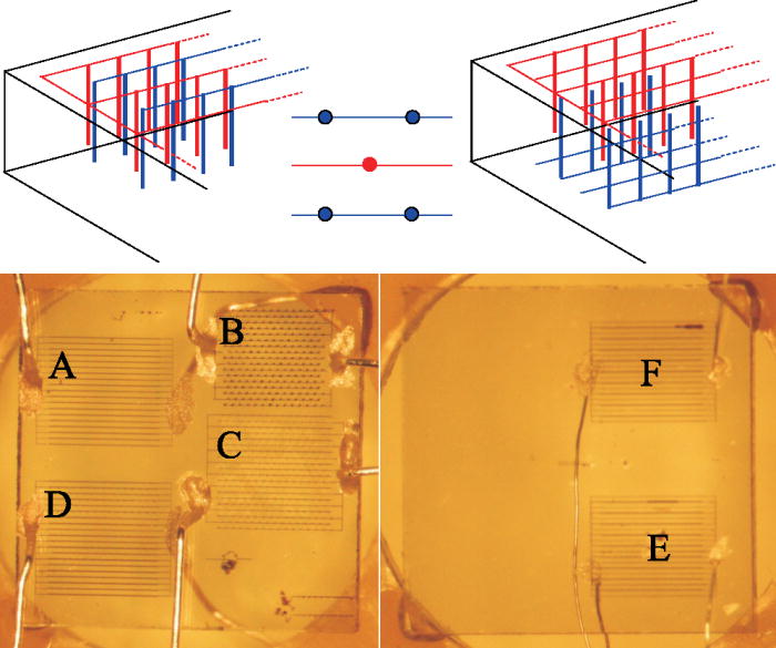 Three-dimensional diamond detectors: Charge collection efficiency of ...