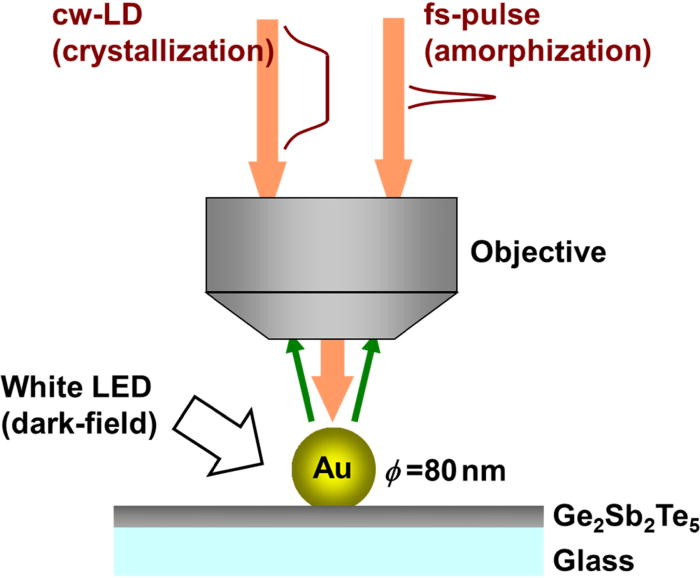 Switching of localized surface plasmon resonance of gold nanoparticles ...