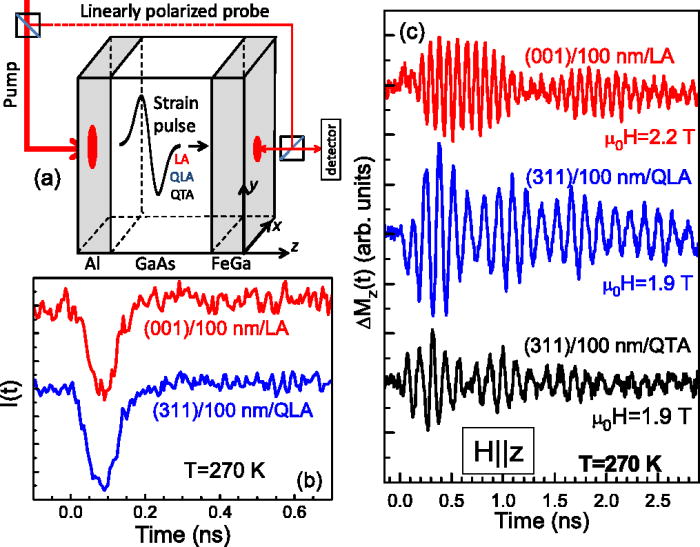 Picosecond inverse magnetostriction in galfenol thin films | Applied ...