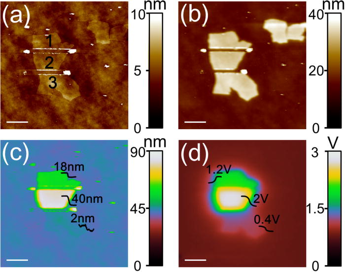 Charge transfer between reduced graphene oxide sheets on insulating ...