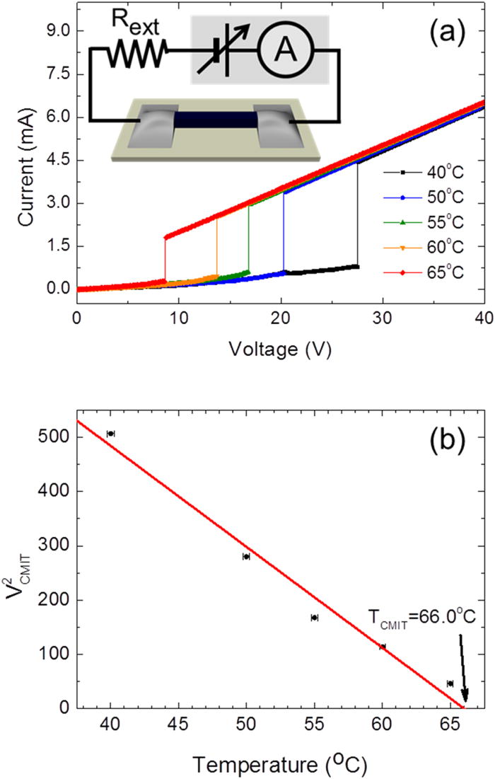 Role of joule heating effect and bulk-surface phases in voltage-driven ...