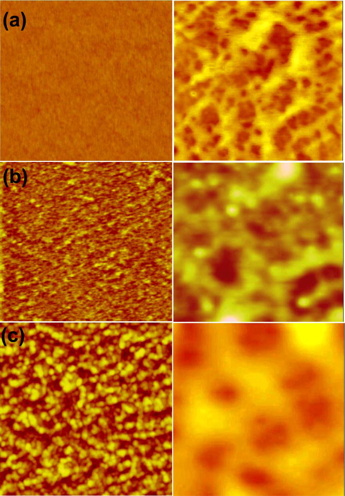 Enhanced biocompatibility for plasmid DNA on patterned TiO2 surfaces ...