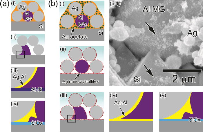 Thermal decomposition of silver acetate in silver paste for solar cell ...