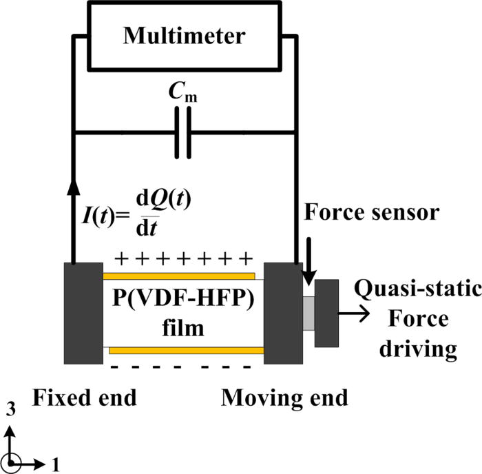 Micropower energy harvesting using poly(vinylidene fluoride ...