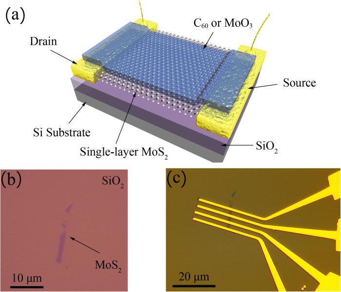 Modulating Electronic Transport Properties Of Mos2 Field Effect Transistor By Surface Overlayers