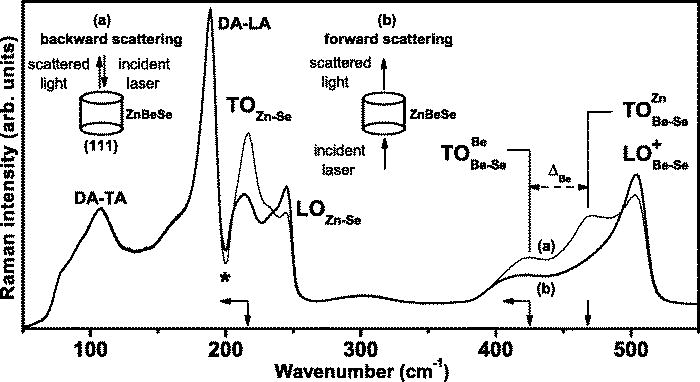 Near-forward Raman scattering by bulk and surface phonon-polaritons in ...
